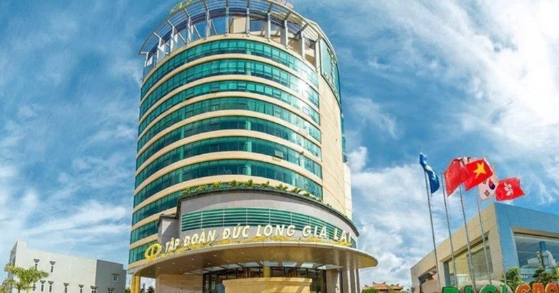 Tập đoàn Đức Long Gia Lai bị Thanh tra Chính phủ điểm tên - Vietnam.vn