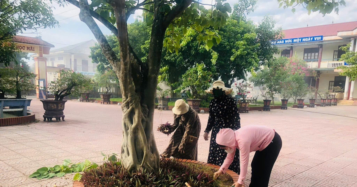 Ngành giáo dục thiếu 351 người so với định mức - Vietnam.vn