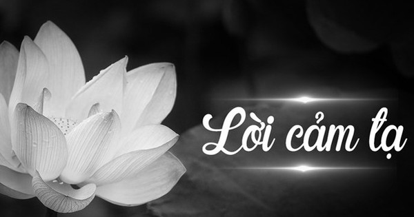 LỜI CẢM TẠ - Vietnam.vn