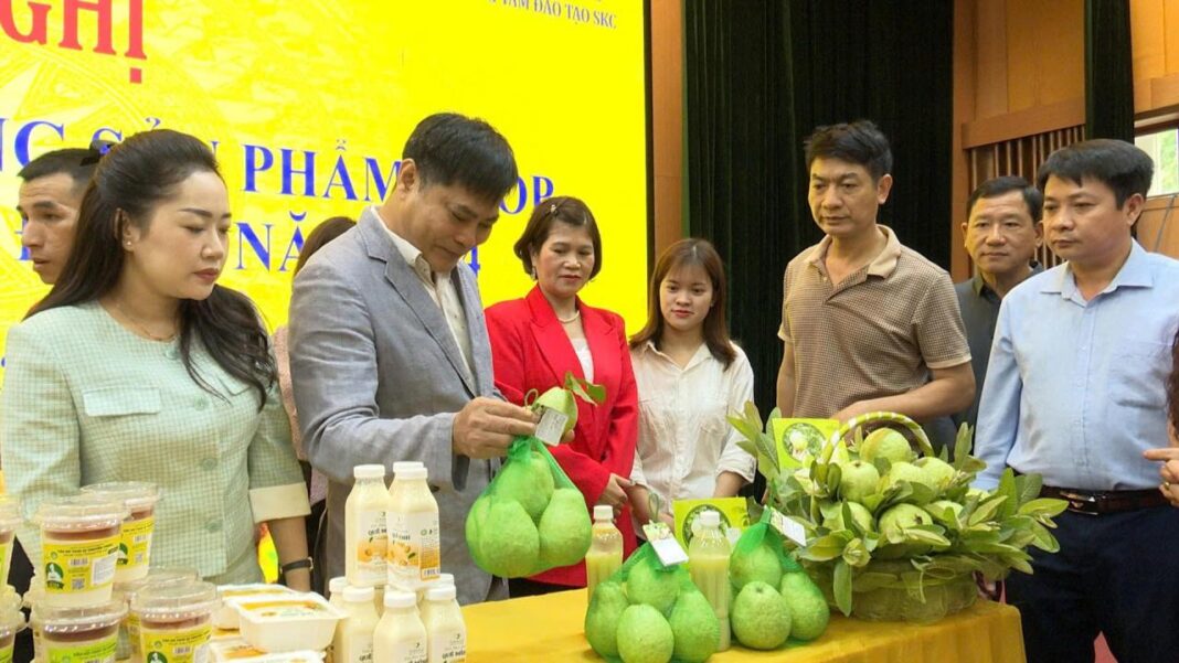 Hoai Duc: Evaluation and classification of 17 OCOP products - Vietnam.vn